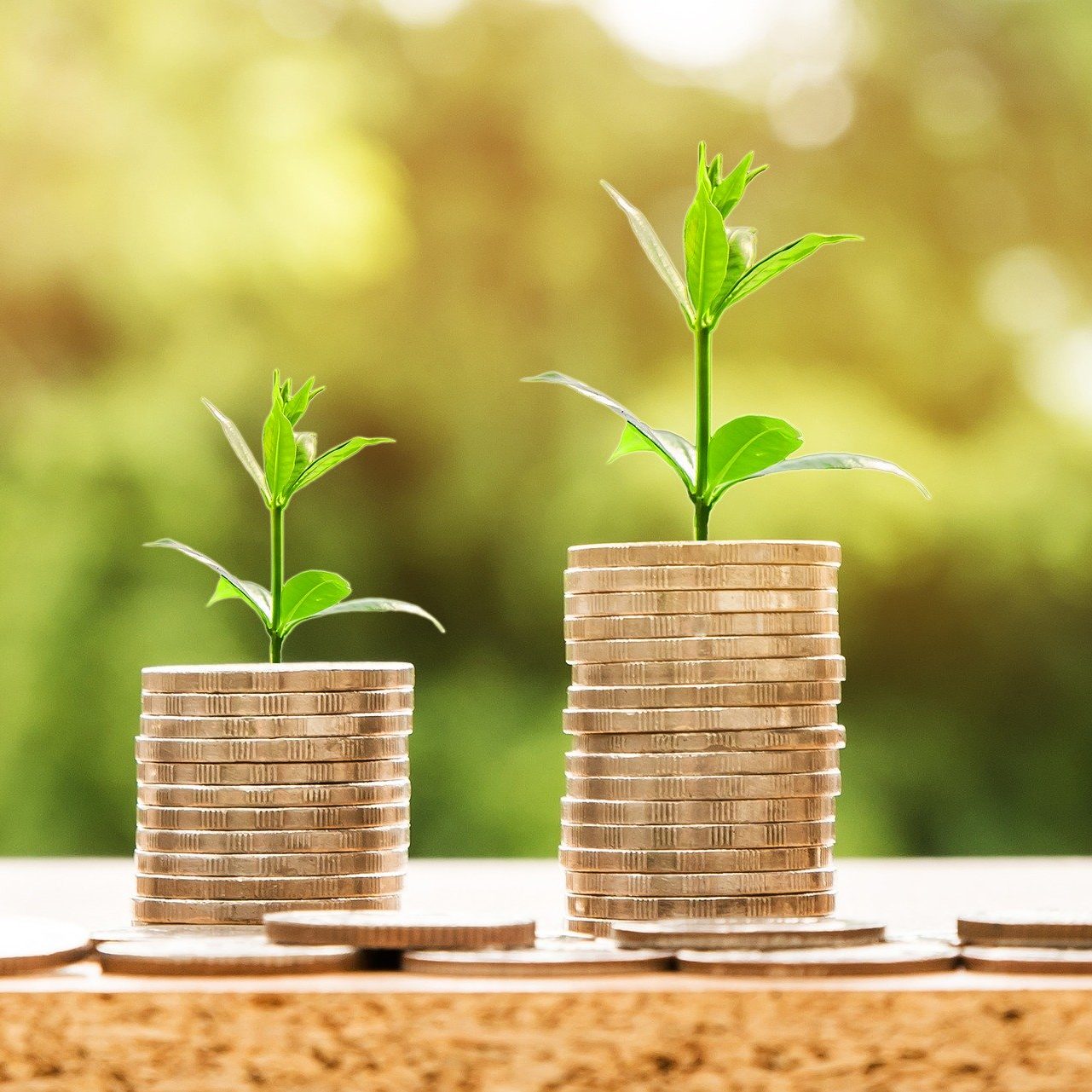 Geldanlage - David Boos und Team